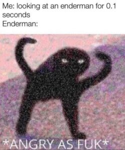 65 Angry Memes That Memes About Being Angry With Funny Images – ExplorePic